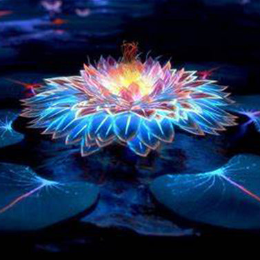 Natural Hair and Skin Care Products | Unique Spirit – My Unique Spirit